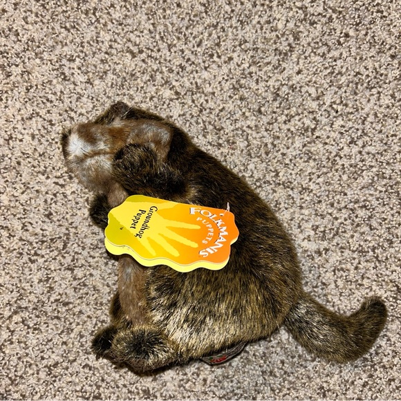 Folkmanis Puppets | Toys | Nwt Folkmanis Hand Puppet Groundhog Retired ...